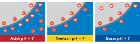 How To Lower Alkalinity Without Lowering pH? | Atlas Scientific
