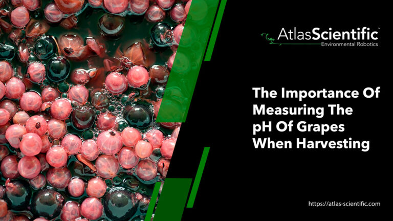 The Importance Of Measuring pH Of Grapes When Harvesting | Atlas Scientific