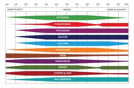 7 Signs Of High pH In Plants | Atlas Scientific