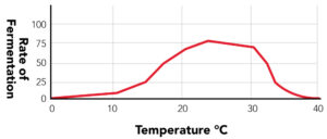 How Does Temperature Affect Fermentation? | Atlas Scientific