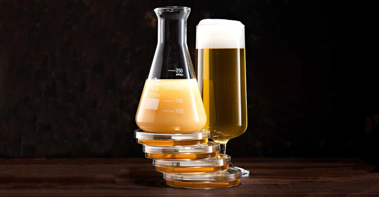 How Does pH Affect Fermentation? | Atlas Scientific