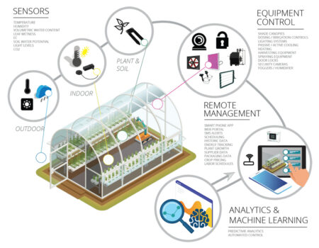 Ideal Greenhouse Temperature And Humidity | Atlas Scientific
