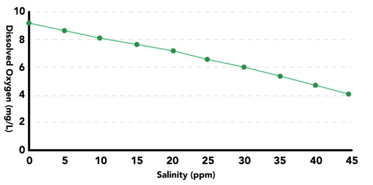 How Does Dissolved Oxygen Get Into Water? | Atlas Scientific