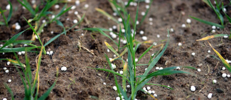 What Causes Soil Salinity And How To Measure Salinity Levels In Soil ...