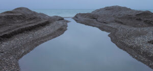 What Causes Soil Salinity And How To Measure Salinity Levels In Soil ...