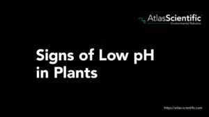 Signs Of Low pH In Plants | Atlas Scientific