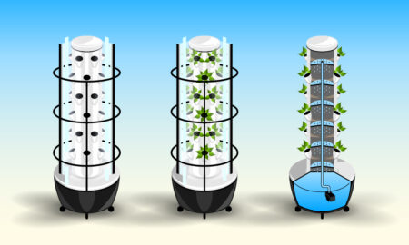 Exploring The Advantages Of Aeroponics | Atlas Scientific