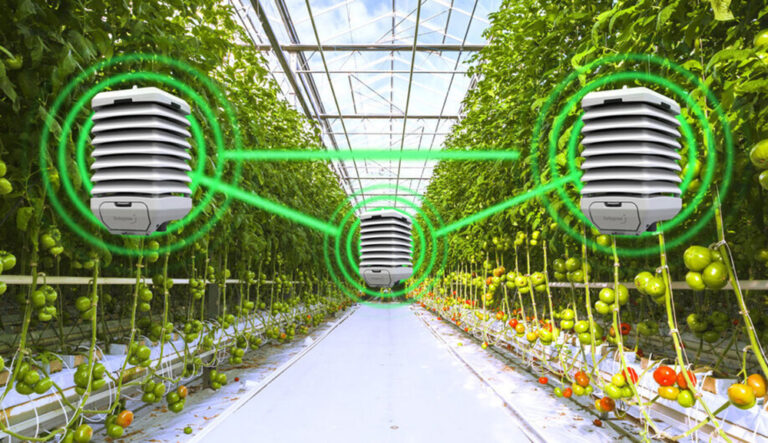Ideal Greenhouse Temperature And Humidity | Atlas Scientific