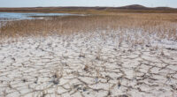 What Causes Soil Salinity And How To Measure Salinity Levels In Soil ...