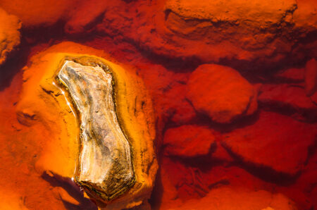 Understanding Iron Bacteria In Water And How To Eliminate It | Atlas ...