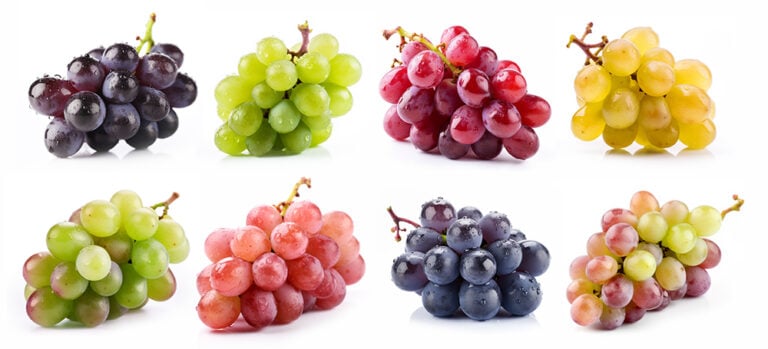 The Importance Of Measuring pH Of Grapes When Harvesting | Atlas Scientific