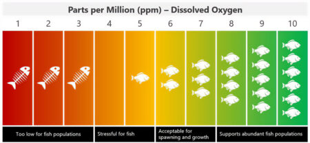 How Does Dissolved Oxygen Get Into Water? | Atlas Scientific