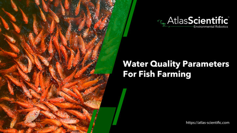 Water Quality Parameters For Fish Farming | Atlas Scientific
