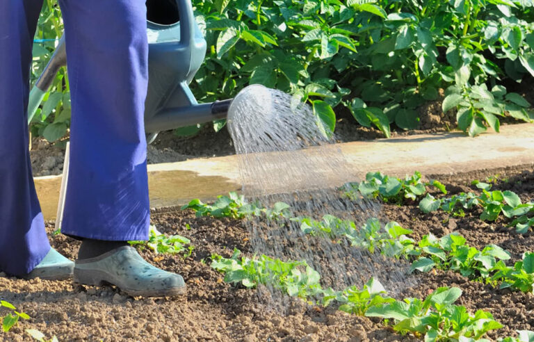 A Guide To Municipal Water: Supply, Treatment, And More | Atlas Scientific