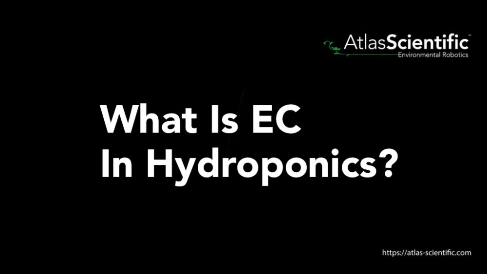 What Is EC In Hydroponics? | Atlas Scientific