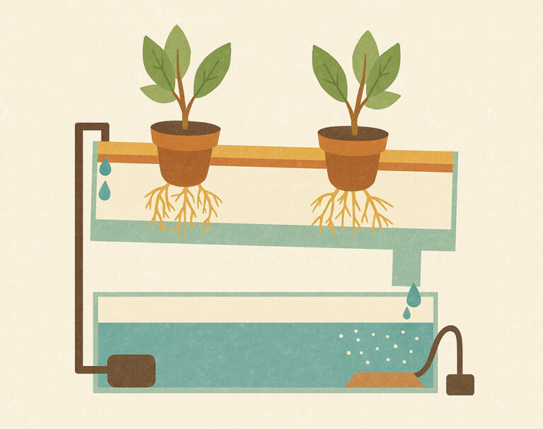 How to Build a Nutrient Film Technique (NFT) System in Hydroponics ...