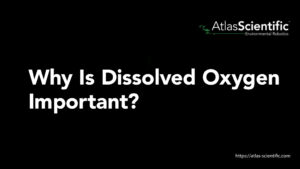 Why Is Dissolved Oxygen Important? | Atlas Scientific