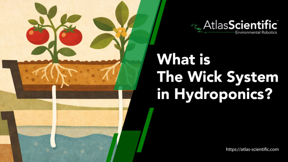 What Is The Wick System In Hydroponics? | Atlas Scientific
